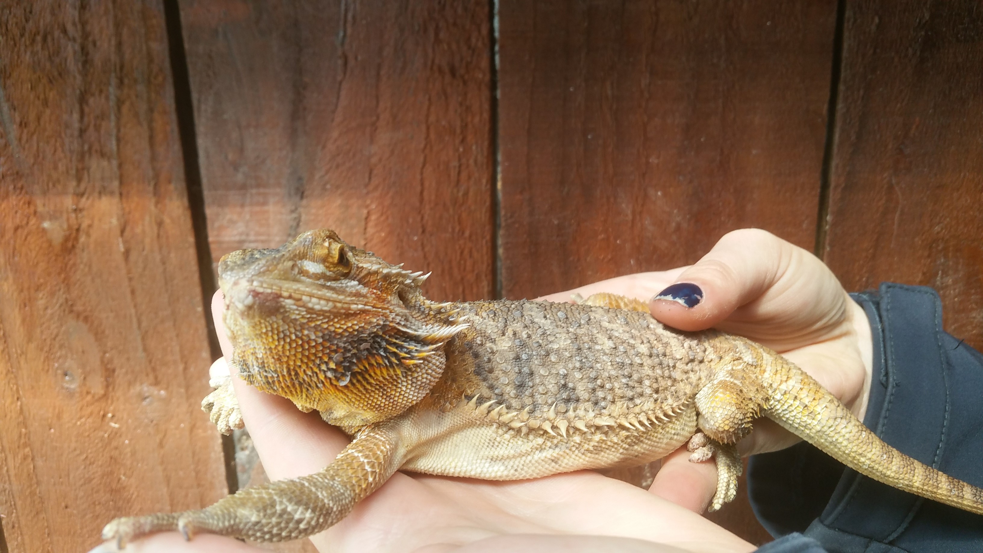 Farm Park Keeper | Beaver Hall Equestrian Centre