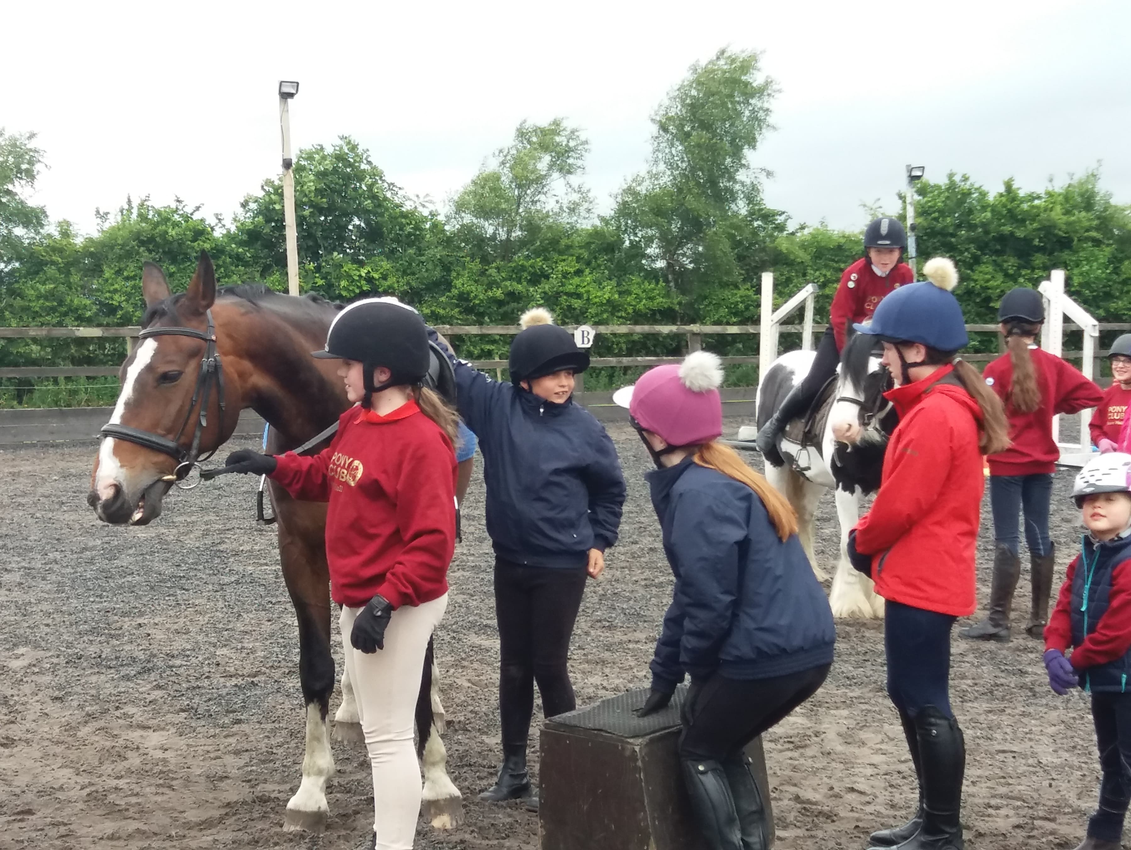 Beaver Hall Pony Club | Beaver Hall Equestrian Centre