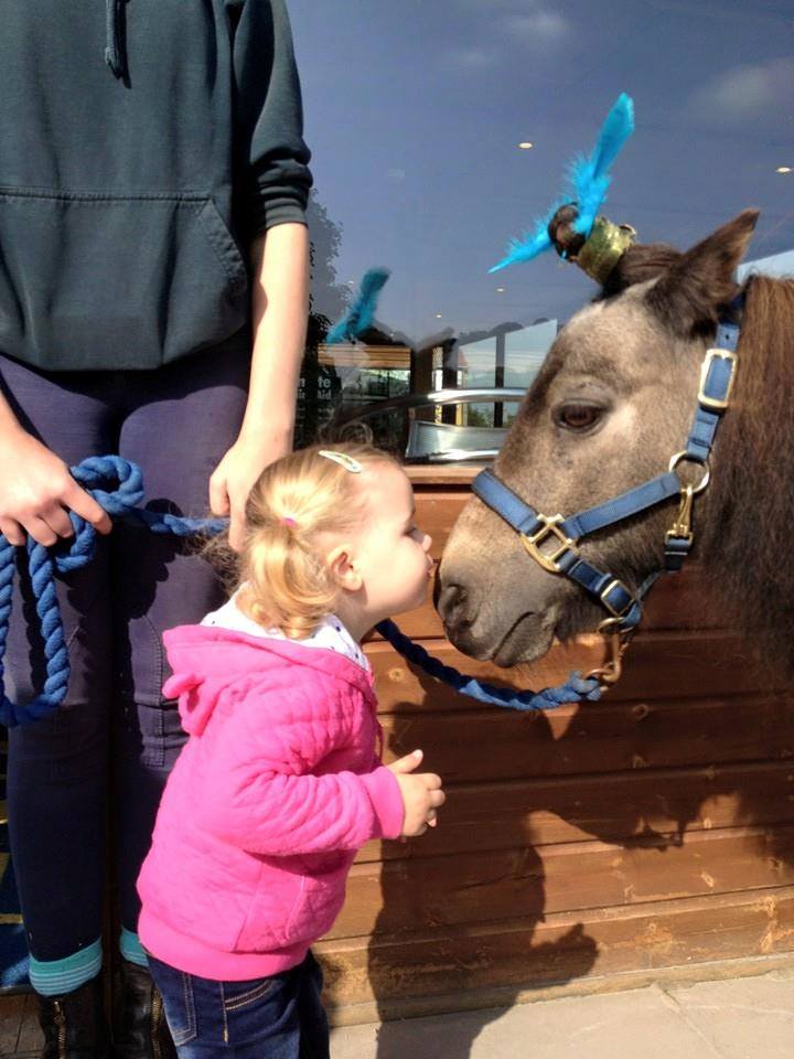 Pony Ride | Beaver Hall Equestrian Centre
