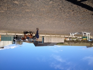 arena | Beaver Hall Equestrian Centre