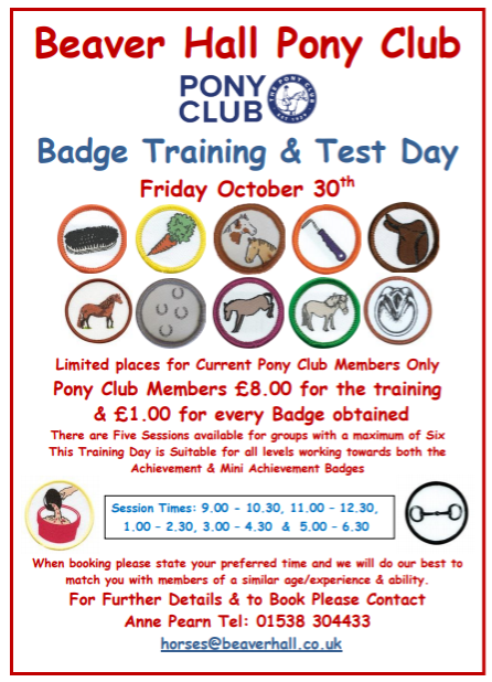 Pony Club Badge Training | Beaver Hall Equestrian Centre